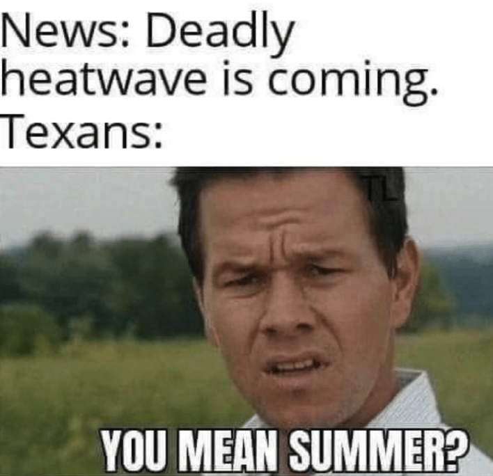 30+ Summer Memes Worthy Of Slapping On Some High SPF And Jumping In A Lake