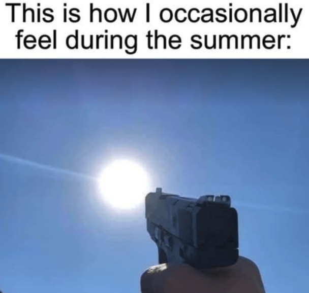 30+ Summer Memes Worthy Of Slapping On Some High SPF And Jumping In A Lake