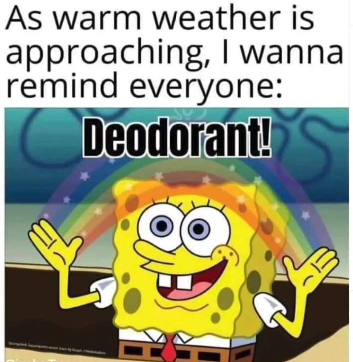 30+ Summer Memes Worthy Of Slapping On Some High SPF And Jumping In A Lake