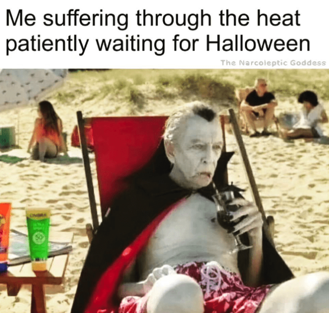30+ Summer Memes Worthy Of Slapping On Some High SPF And Jumping In A Lake