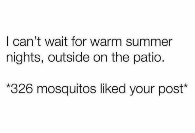30+ Summer Memes Worthy Of Slapping On Some High SPF And Jumping In A Lake