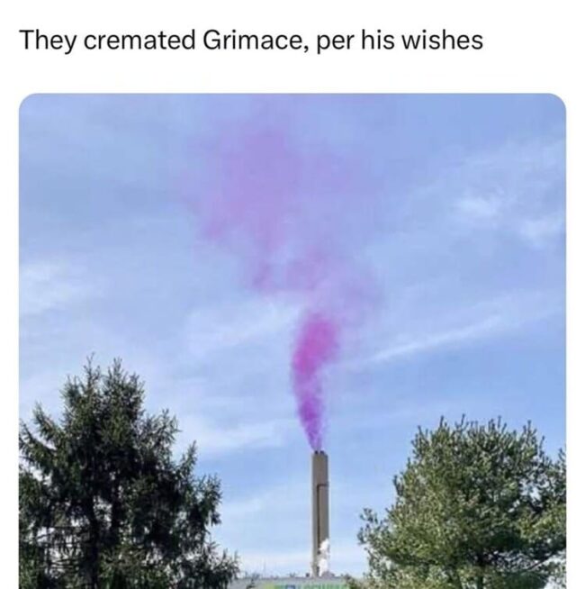 McDonald's Says Grimace's Birthday Month Is Over, But The Funny Grimace ...