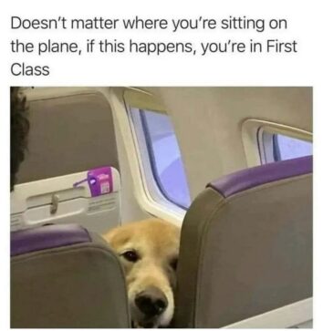 40 Travel Memes For Everyone Ready To Head Out On Summer Vacation