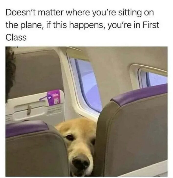40 Funny Travel Memes For Everyone Ready To Head Out On Summer Vacation
