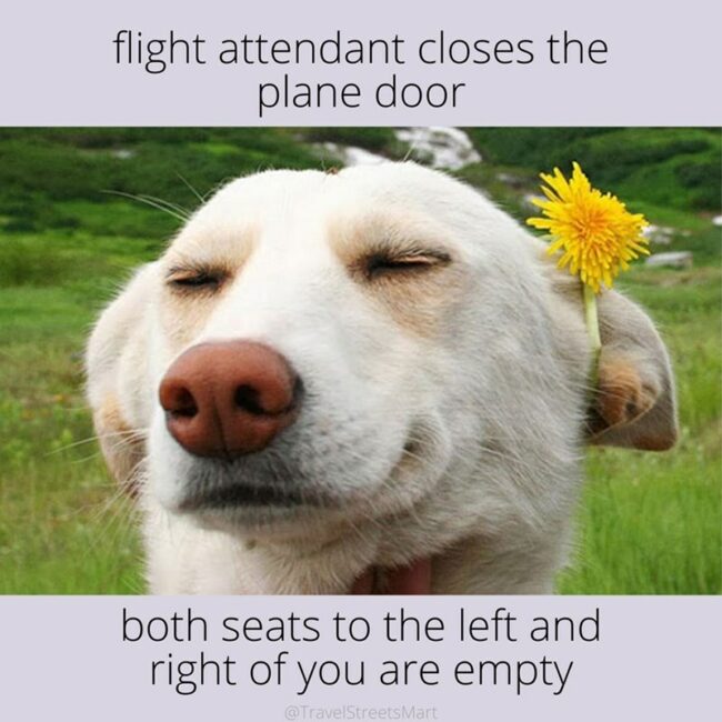 40 Funny Travel Memes For Everyone Ready To Head Out On Summer Vacation