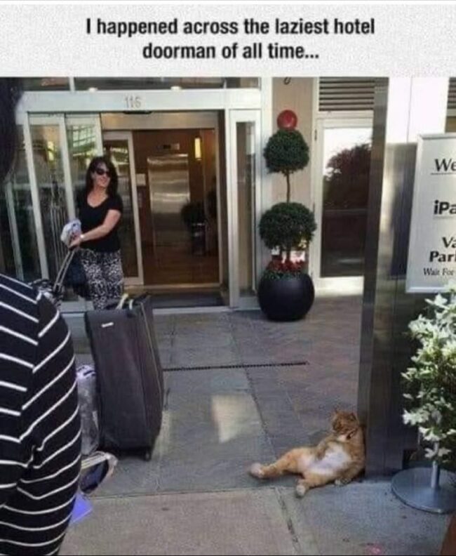 40 Funny Travel Memes For Everyone Ready To Head Out On Summer Vacation