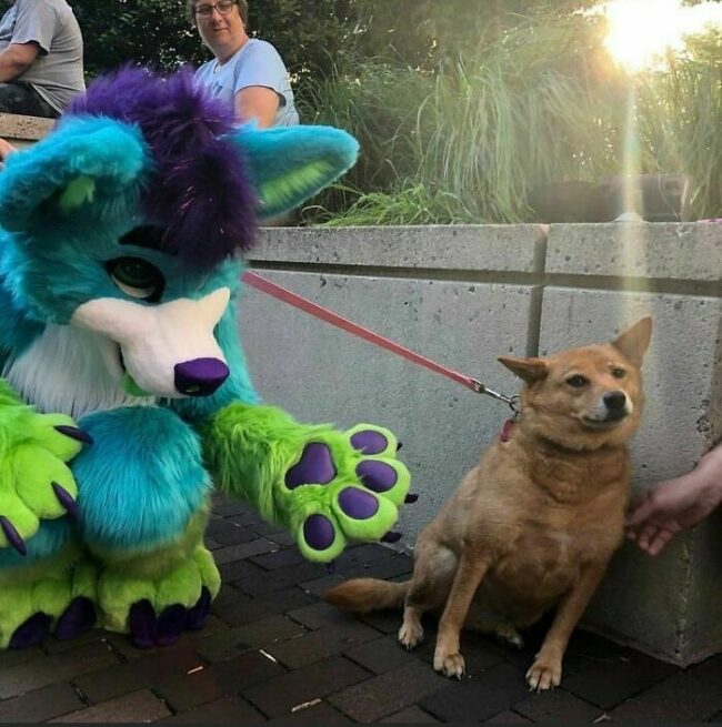 40+ Hilariously “Cursed Images” You’ll Laugh At And Then Wish You’d ...