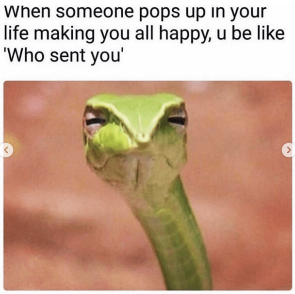 30 Wholesome Higher-Self Memes To Help You Rise Above The Haters And ...