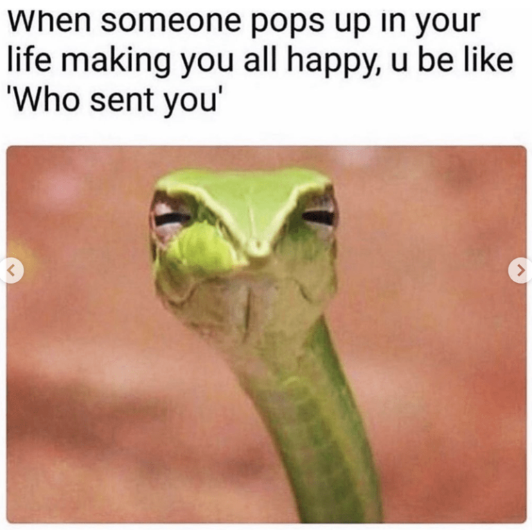 30 Wholesome Higher-Self Memes To Help You Rise Above The Haters And ...