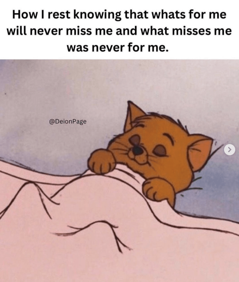 30 Wholesome Higher-Self Memes To Help You Rise Above The Haters And ...