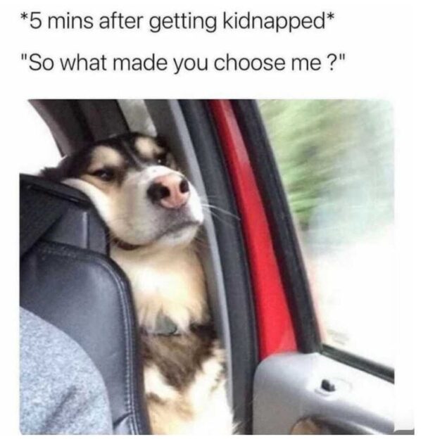 45 Hilariously Relatable 'Women's Humor' Memes For Ladies Only