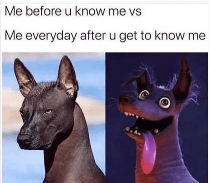 45 Hilariously Relatable 'Women's Humor' Memes For Ladies Only