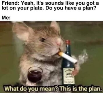 40 Funniest Animal Memes To Help Critter Lovers Laugh Their Way Through ...