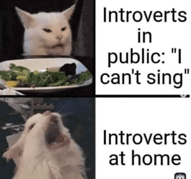 40 Relatable Introvert Memes You Anti-Socials Can Laugh At After You Turn Down All Party ...