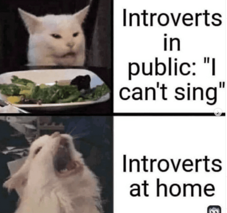 40 Relatable Introvert Memes You Anti-Socials Can Laugh At After You ...