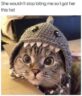 Paws, Laugh, Repeat With Today's Batch Of 35 Funny Cat Memes (July 27 ...