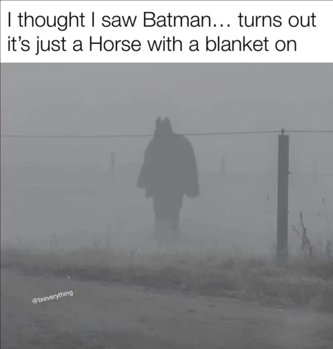 The Dark Meme Rises — 35 Funny Batman Memes For Fans Of The Dark Knight