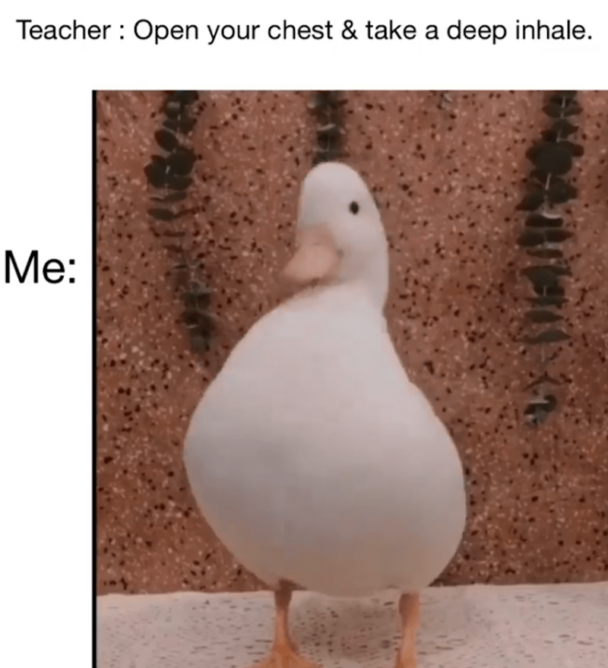 70 Funniest Yoga Memes To Give Your Sense of Humor A Deep Stretch And ...