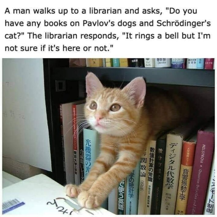 35 Funny Book Memes For All Of The Avid Readers And Wordsmiths