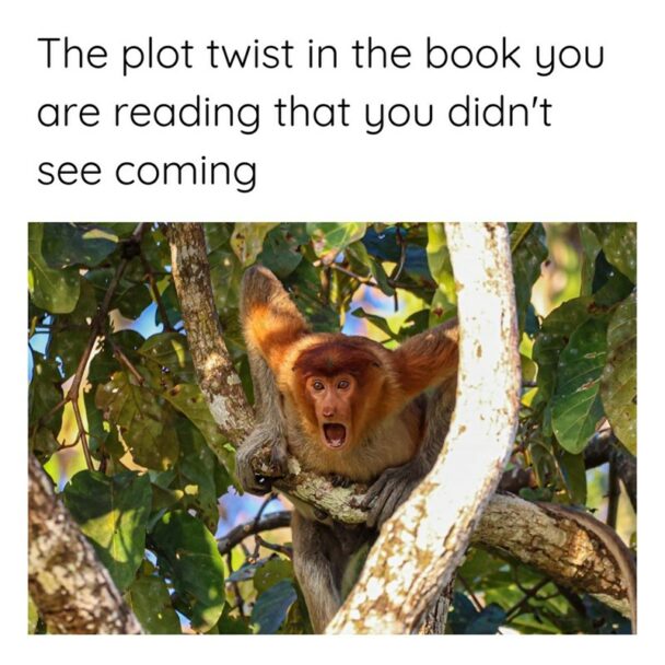 35 Funny Book Memes For All Of The Avid Readers And Wordsmiths