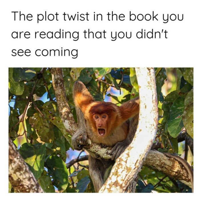 35 Funny Book Memes For All Of The Avid Readers And Wordsmiths