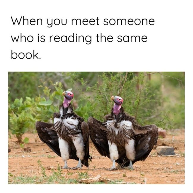 35 Funny Book Memes For All Of The Avid Readers And Wordsmiths