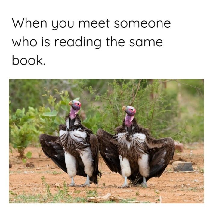 35 Funny Book Memes For All Of The Avid Readers And Wordsmiths