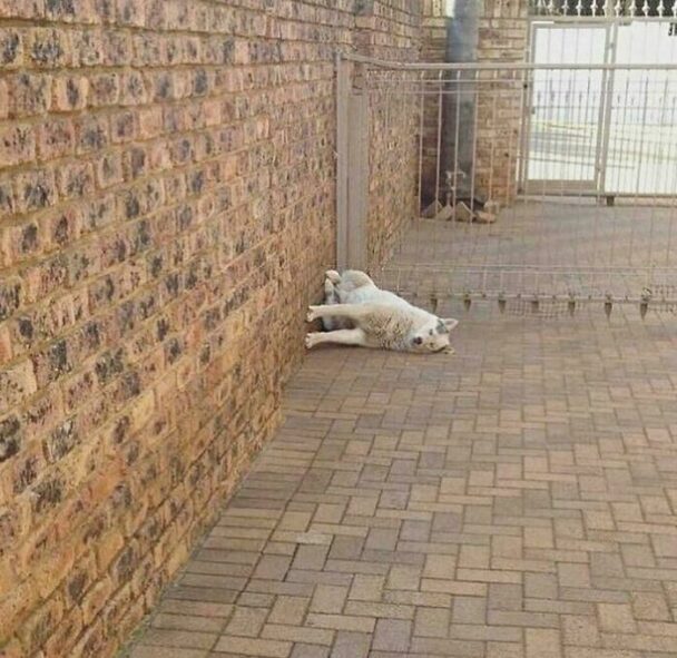 40 Images From The "Confusing Gravity" Group That'll Take You A Minute To Figure Out