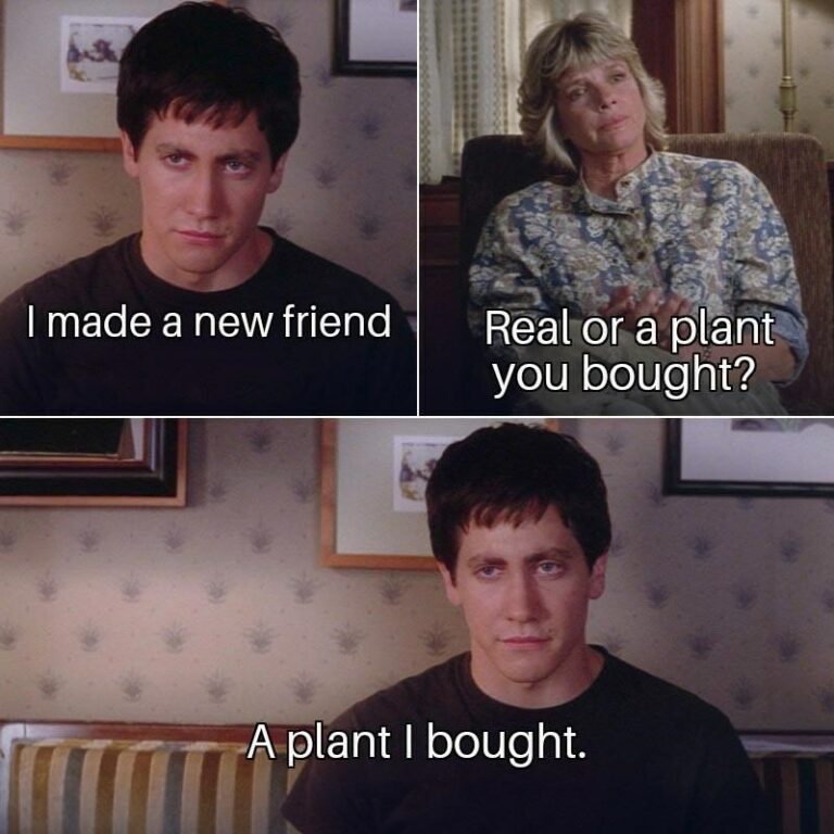 40 Creepy And Surreal Memes You'll Eventually Laugh At After You've Had ...