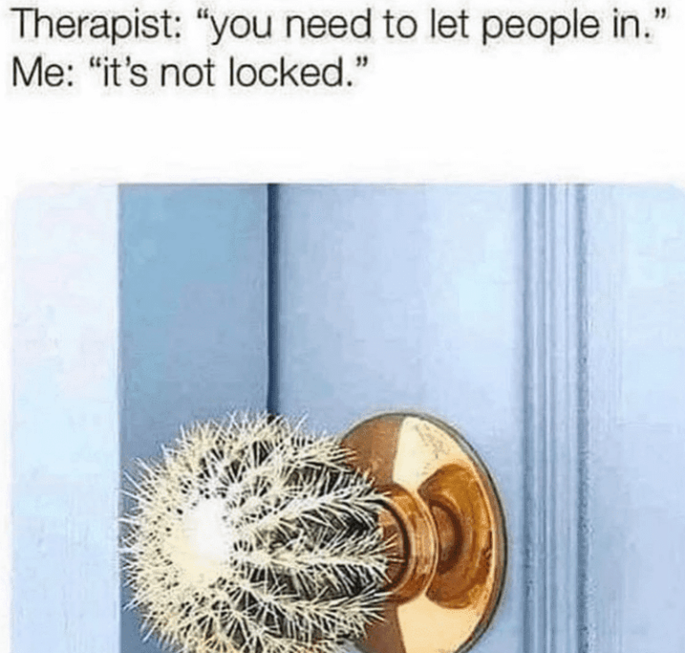 40 Relatable Introvert Memes You Anti-Socials Can Laugh At After You ...