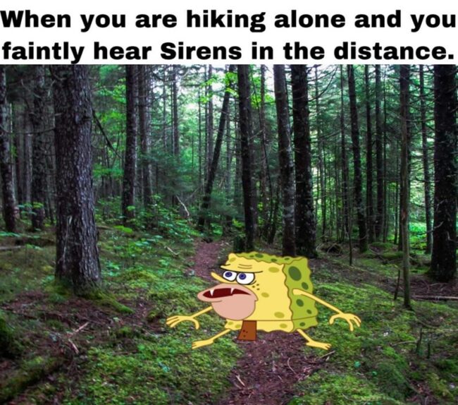 30+ Funny Hiking Memes You Can Enjoy Without Getting Lost In The Woods