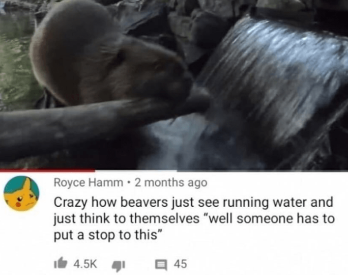 30+ Funny Hiking Memes You Can Enjoy Without Getting Lost In The Woods