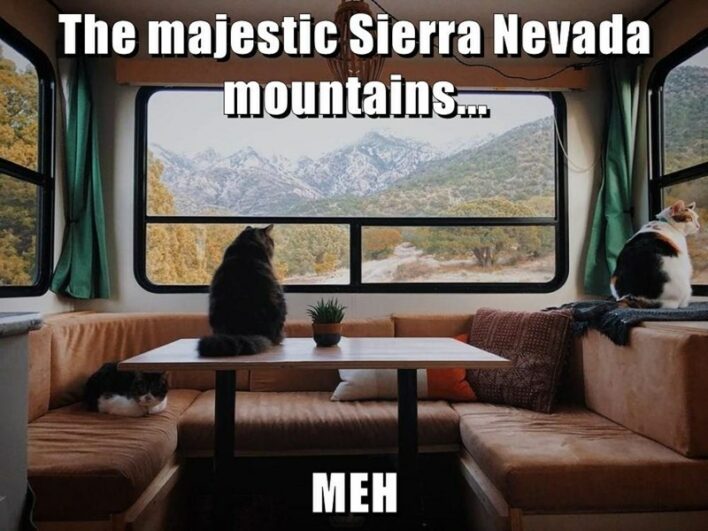 30+ Funny Hiking Memes You Can Enjoy Without Getting Lost In The Woods