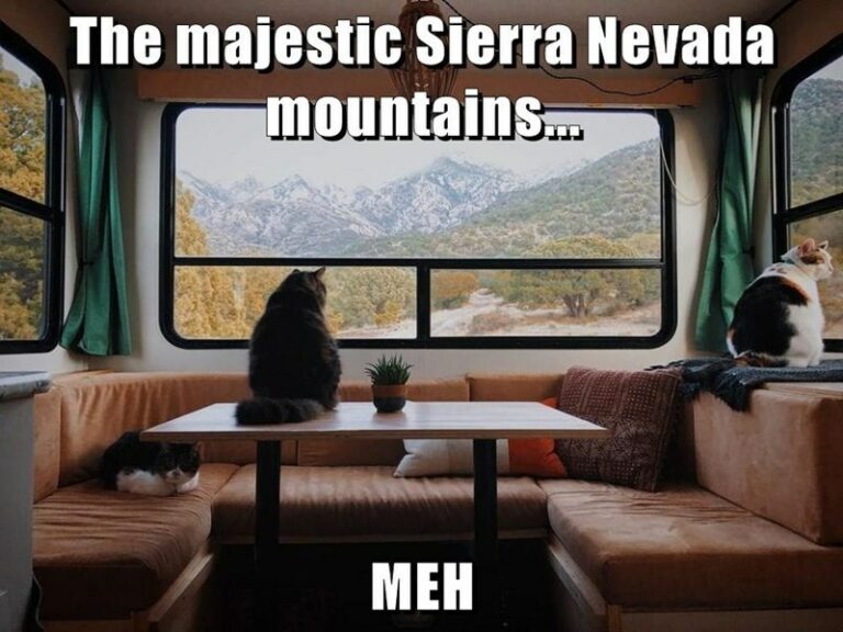 30+ Funny Hiking Memes You Can Enjoy Without Getting Lost In The Woods