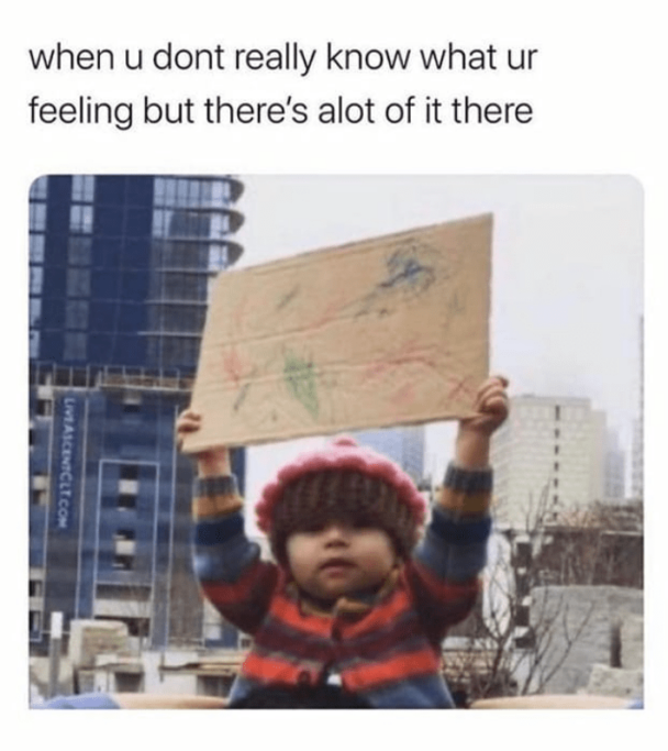 Funny Indecisive Memes For Folks Who Probably Even Had A Hard Time ...