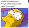 30+ Funny Insomnia Memes For All The Reluctant Night Owls