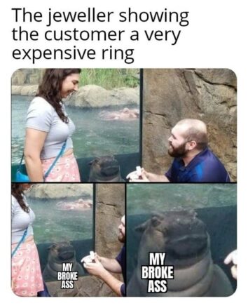 35 Money Memes: The Perfect Cure For Your Empty Wallet Blues