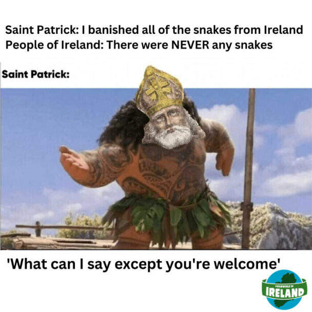 45 Funny "Irish Humor" Pictures That Prove Why Instagram Can't Get ...