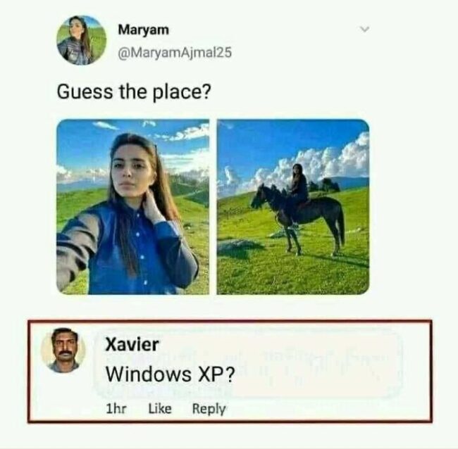 30 Brutally Funny Replies From Internet Comeback Champion Xavier