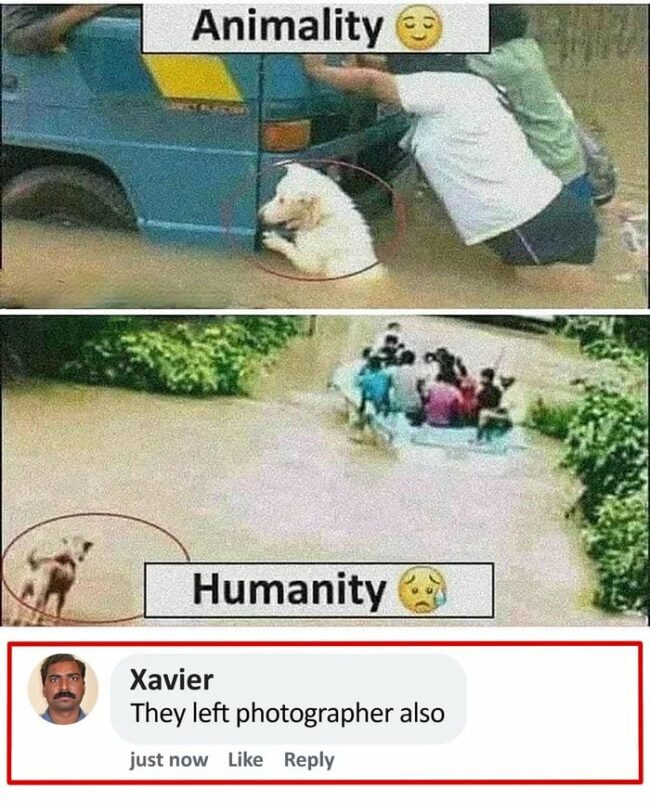 30 Brutally Funny Replies From Internet Comeback Champion Xavier