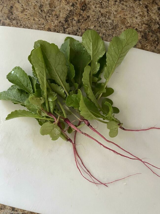 30 Gardeners Share The Disappointing Fruits (And Vegetables) Of Their Labor