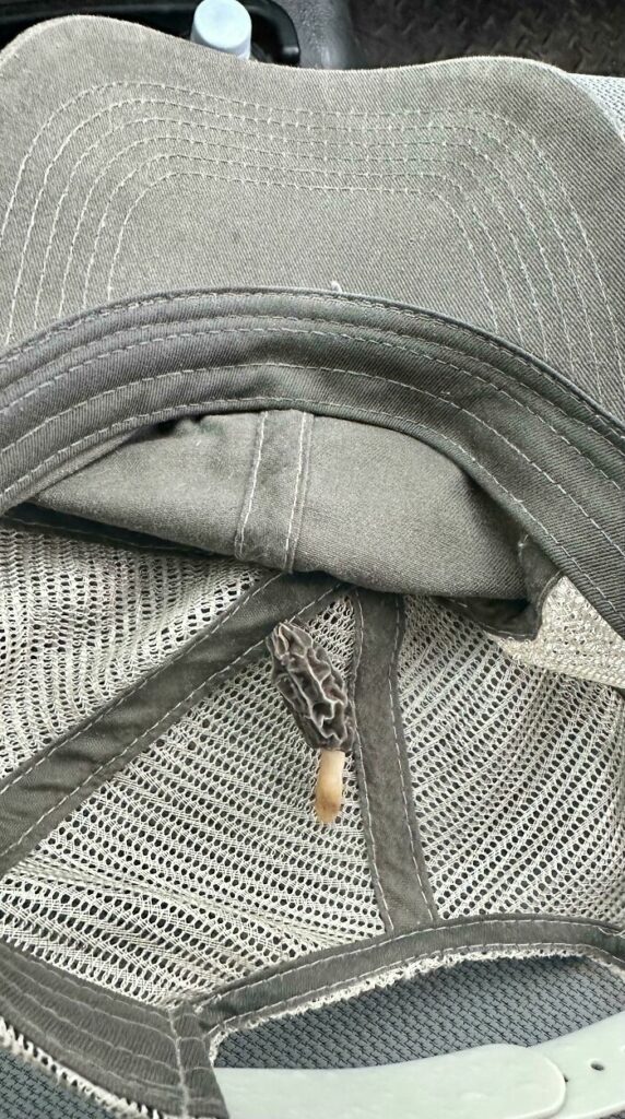 30 Gardeners Share The Disappointing Fruits (And Vegetables) Of Their Labor