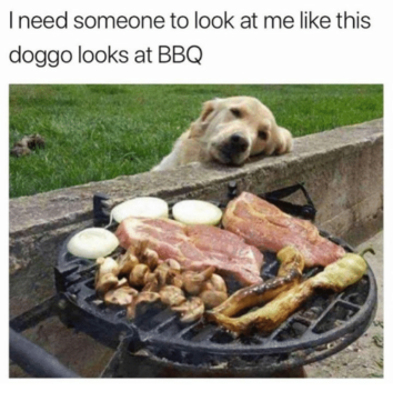 35+ Funny Grilling Memes That Should Count As Your Contribution To Your ...