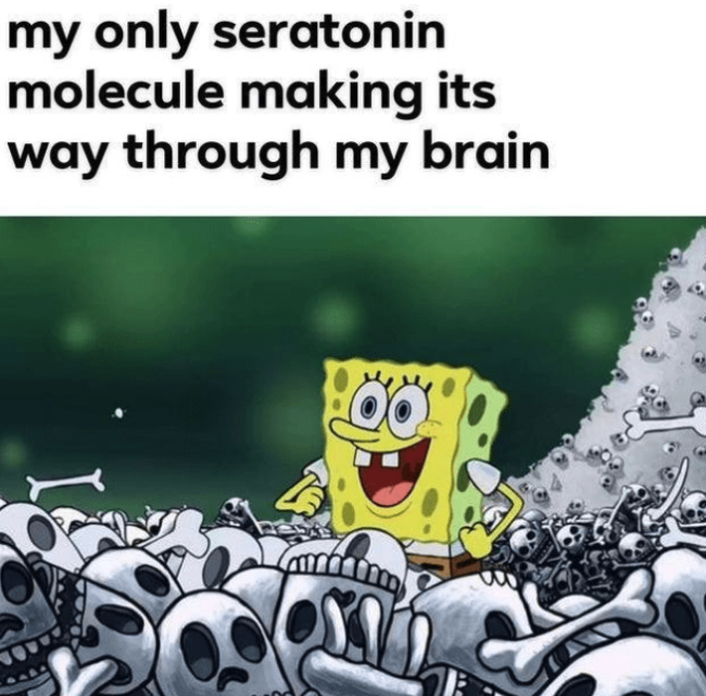 40 Funny Anxiety Memes To Laugh At And Then Talk About In Therapy This Week