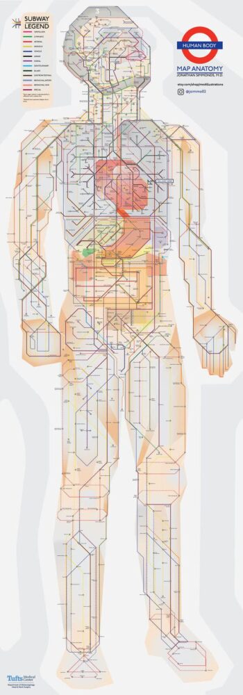 'Data Art' Turns Data In Jaw-Dropping Visual Masterpieces (35 Pics)