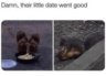 50 Intimate Memes For Dirty Couples Who Can't Keep Their Hands Off Each ...