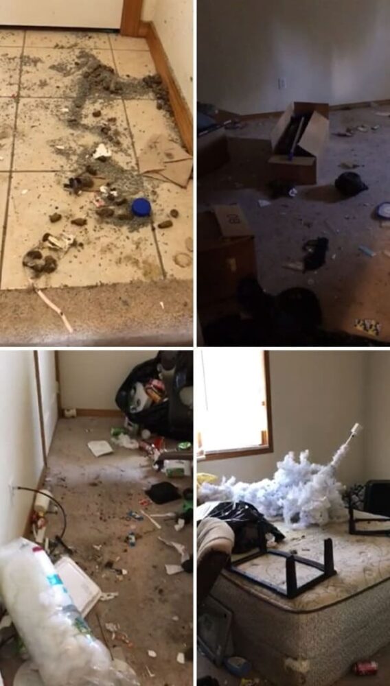 25+ Landlords Reveal The Shocking State Left Behind By Terrible Tenants ...