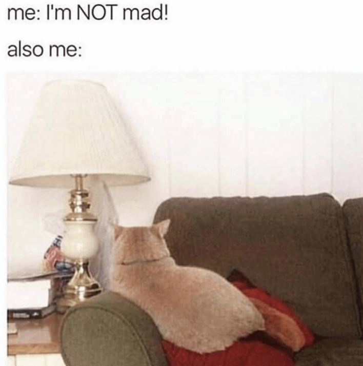 30 Funny Wife Memes That Are A Mix Of Witty, Wholesome, And Dangerous ...