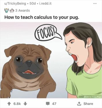 45 Funny Out-Of-Context WikiHow Images That'll Make You Laugh As Much ...