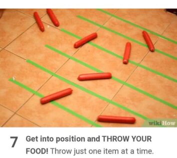 45 Funny Out-Of-Context WikiHow Images That'll Make You Laugh As Much ...